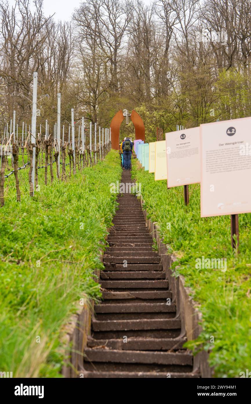 A staircase leads through a vineyard past modern art installations ...