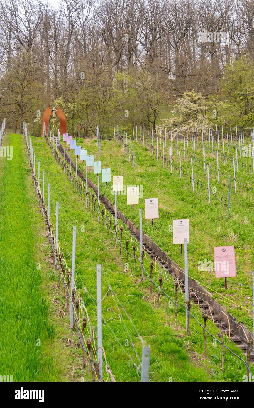 A nature learning trail with several information signs distributed ...