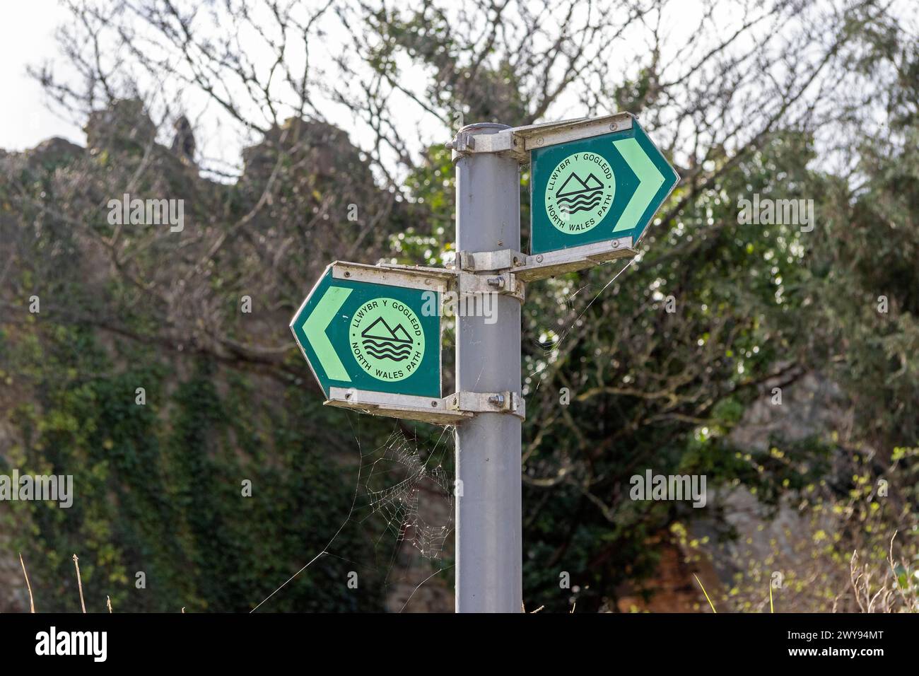 Signpost, North Wales Path, Conwy, Wales, Great Britain Stock Photo - Alamy