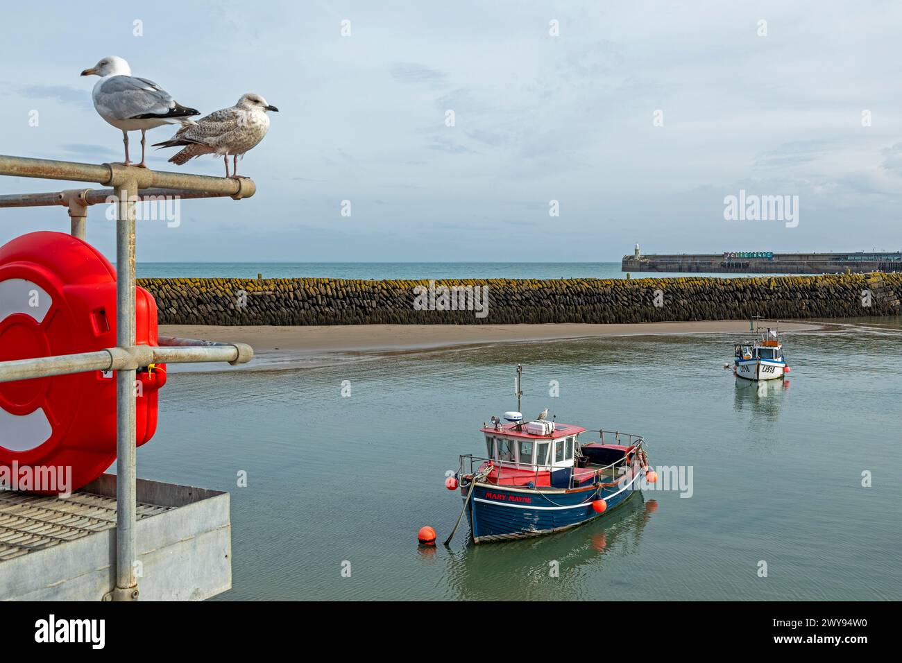 Seagulls, boats, boat harbour, Folkestone, Kent, Great Britain Stock ...