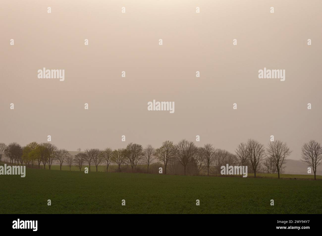 Large quantities of Sahara dust obscure the sun, Cunnersdorf, Saxony ...