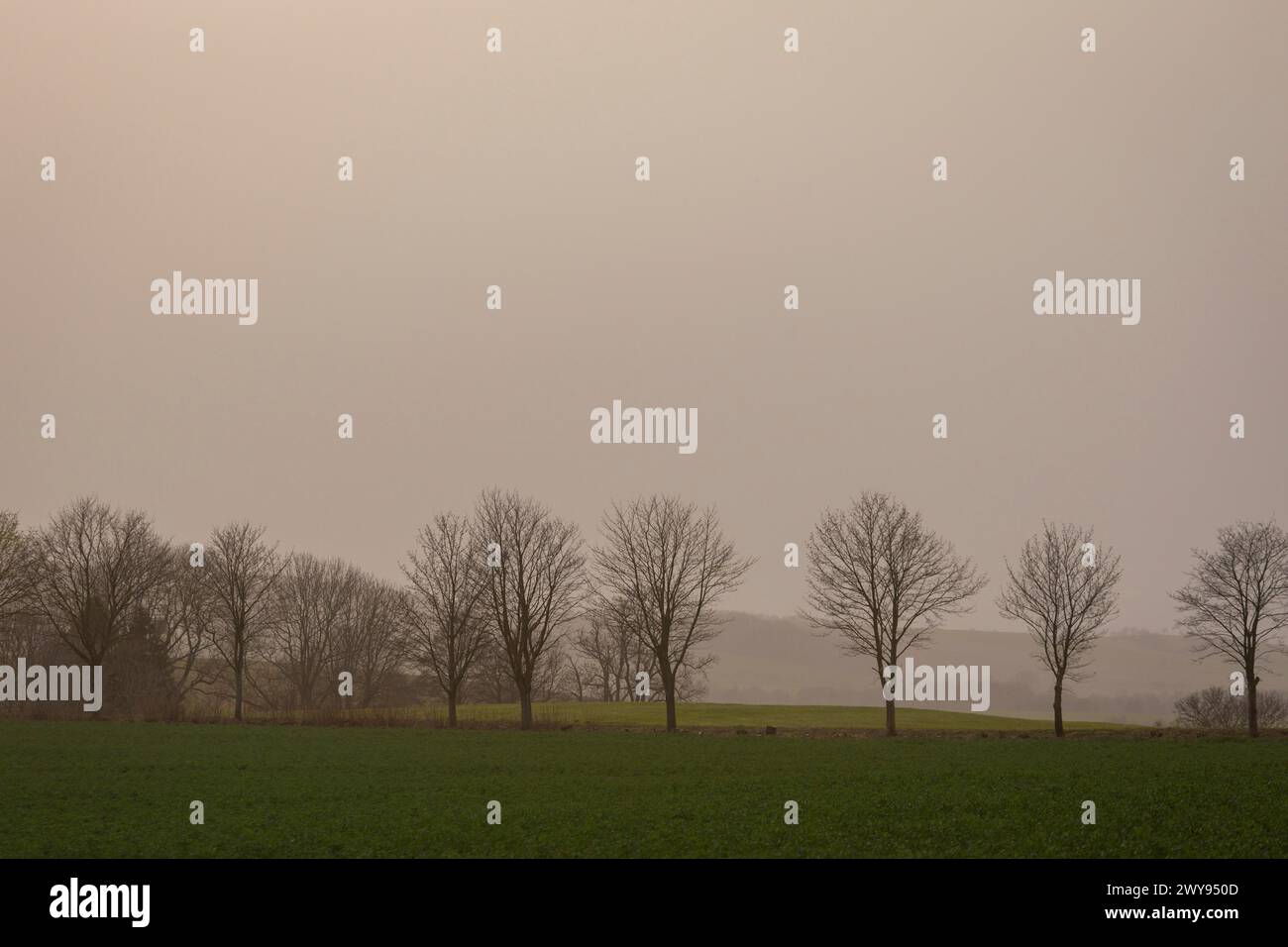 Sunlight with sahara dust hi-res stock photography and images - Alamy