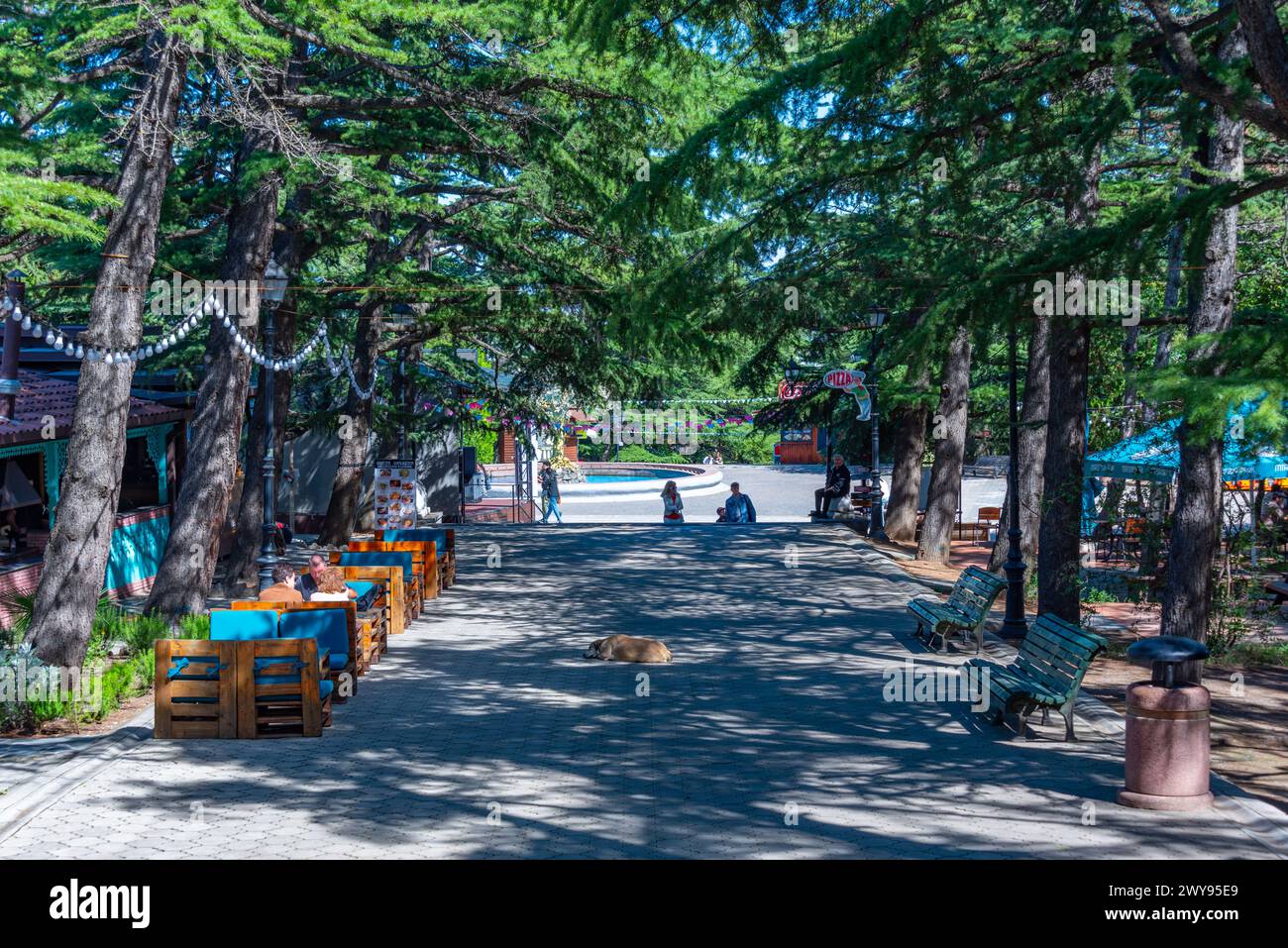 Tbilisi circus hi-res stock photography and images - Alamy