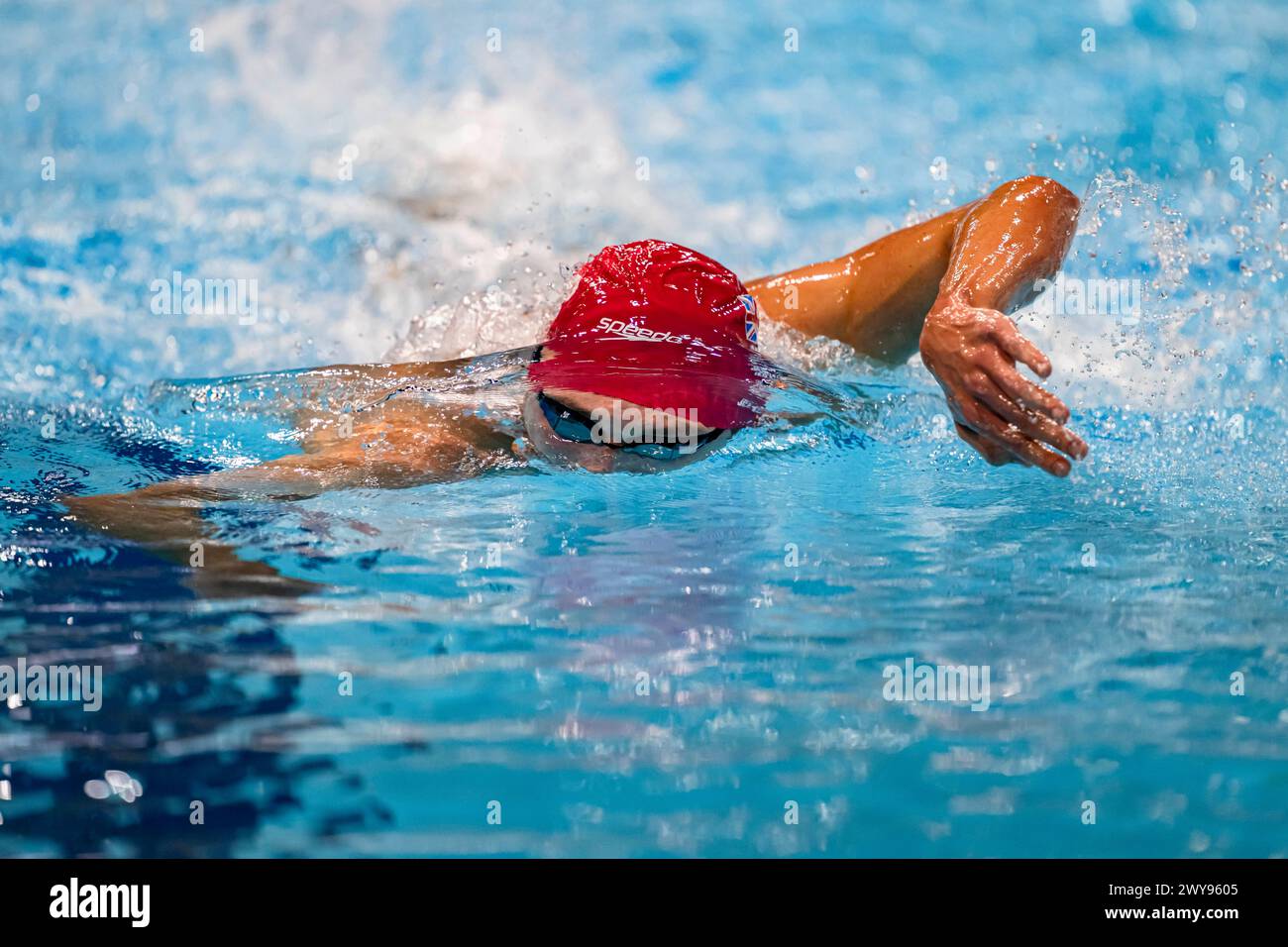1500m freestyle in swimming hi-res stock photography and images - Alamy