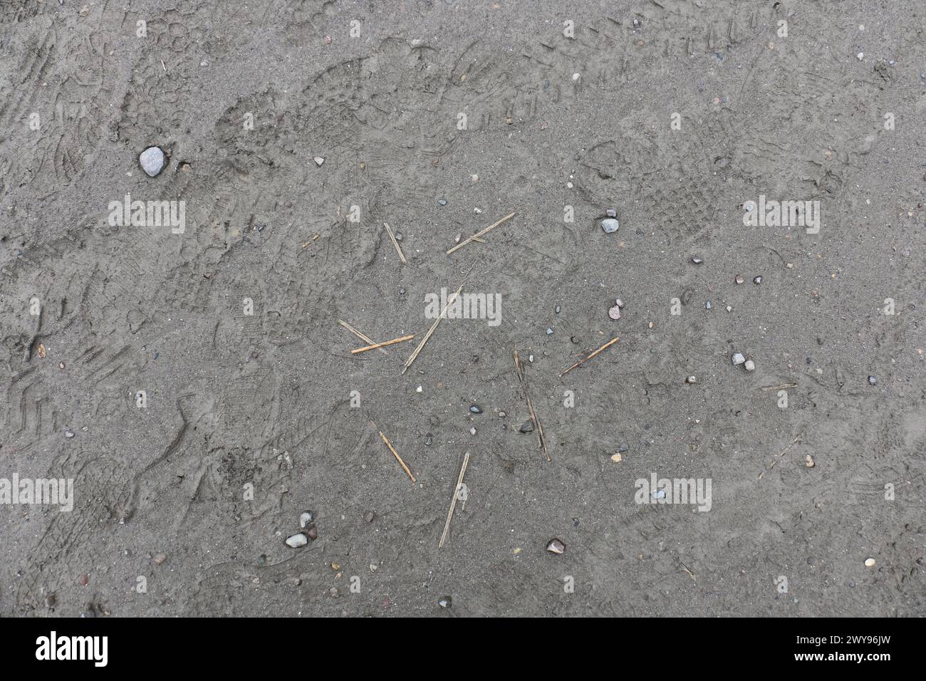 Mud and grass ground texture suitable for reference Stock Photo - Alamy