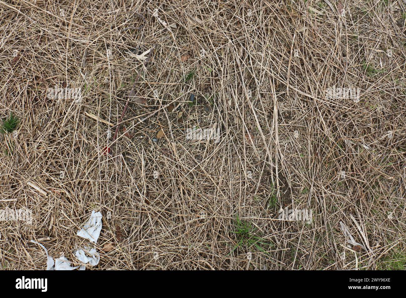 Mud and grass ground texture suitable for reference Stock Photo - Alamy