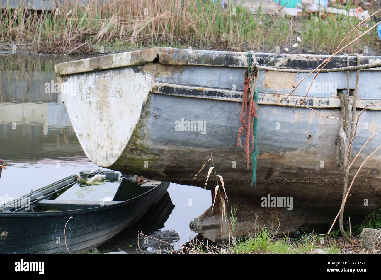 An old, broken wooden boat near Anzali Wetland Iran, in front of the ...