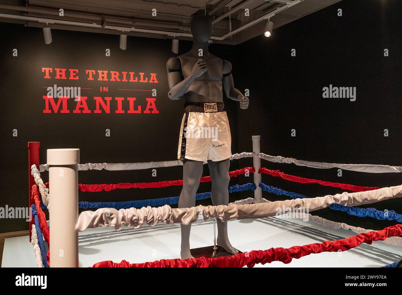New York, US, 04/04/2024, Muhammad Ali's fight worn Everlast trunks ...