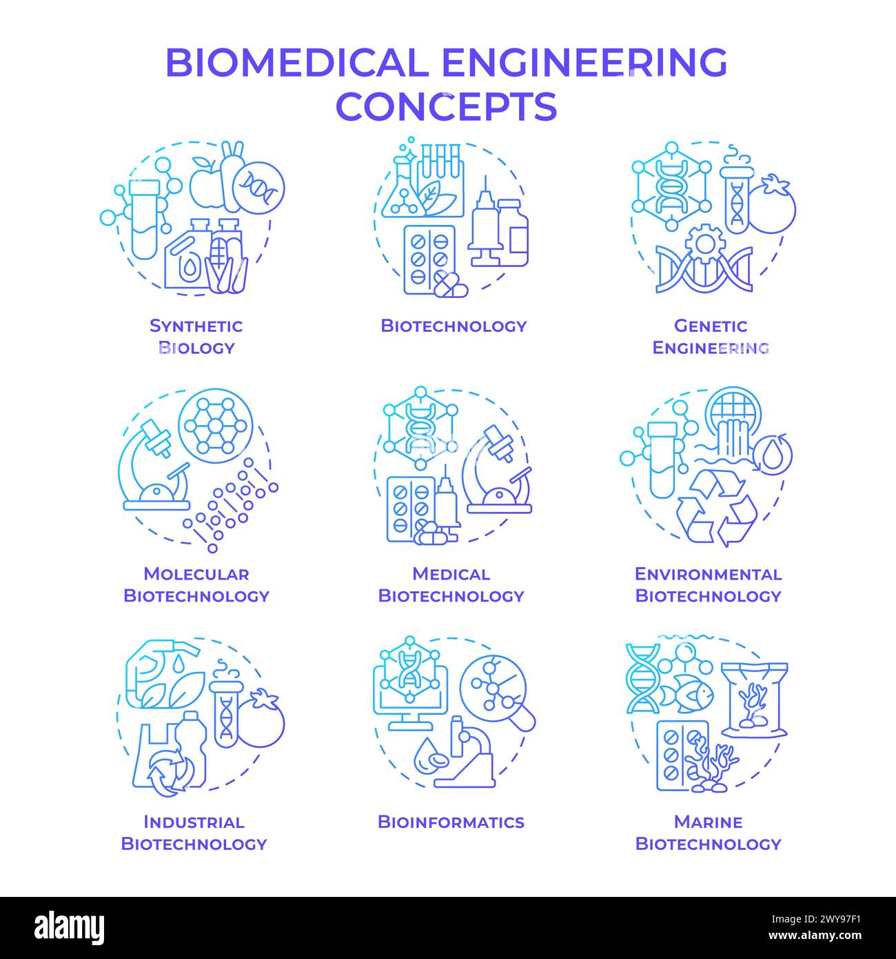Biomedical engineering blue gradient concept icons Stock Vector Image & Art - Alamy