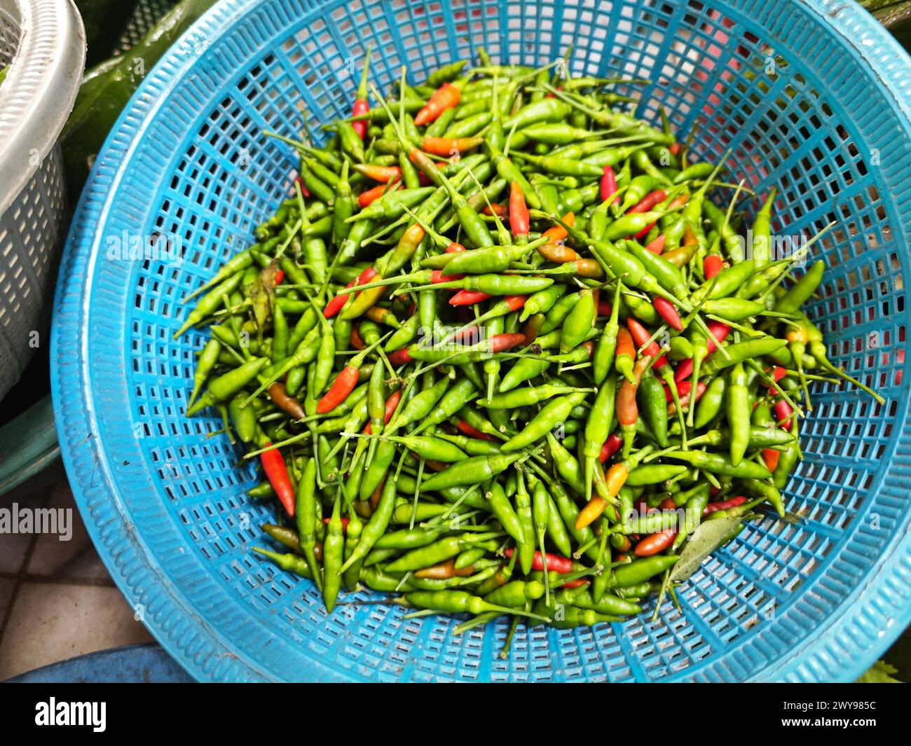Green chilli padi hi-res stock photography and images - Alamy