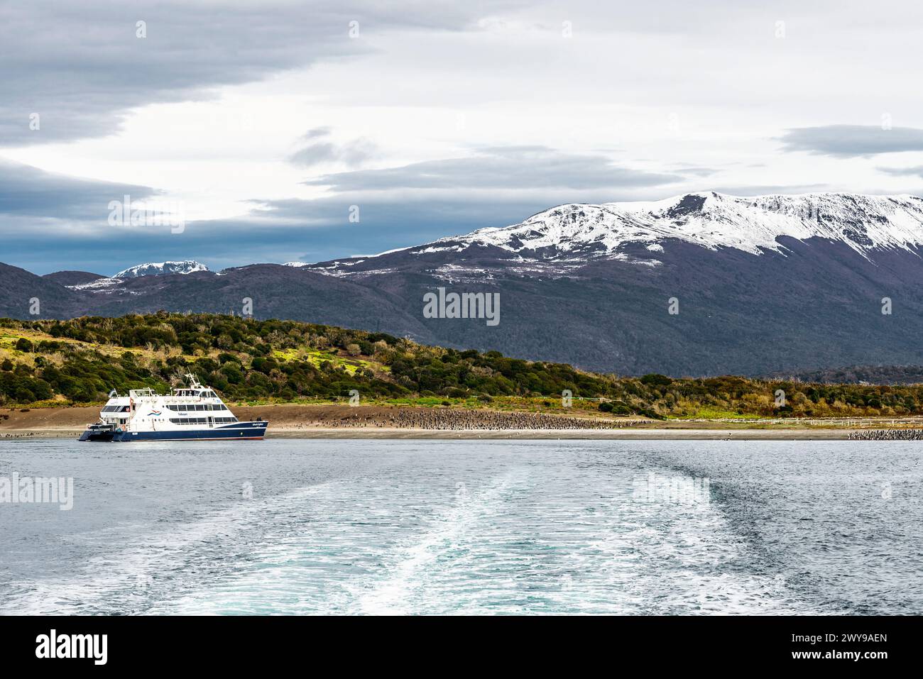 Sailing through the Beagle Channel, at the southern tip of South ...