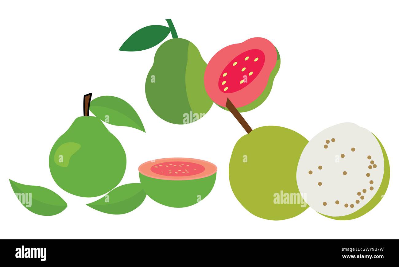 Guava vector vectors hi-res stock photography and images - Alamy