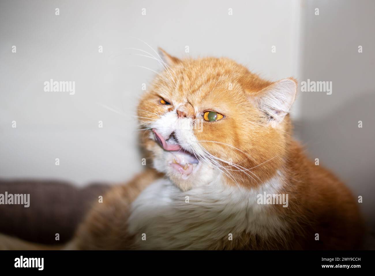 Male catheter hi-res stock photography and images - Alamy