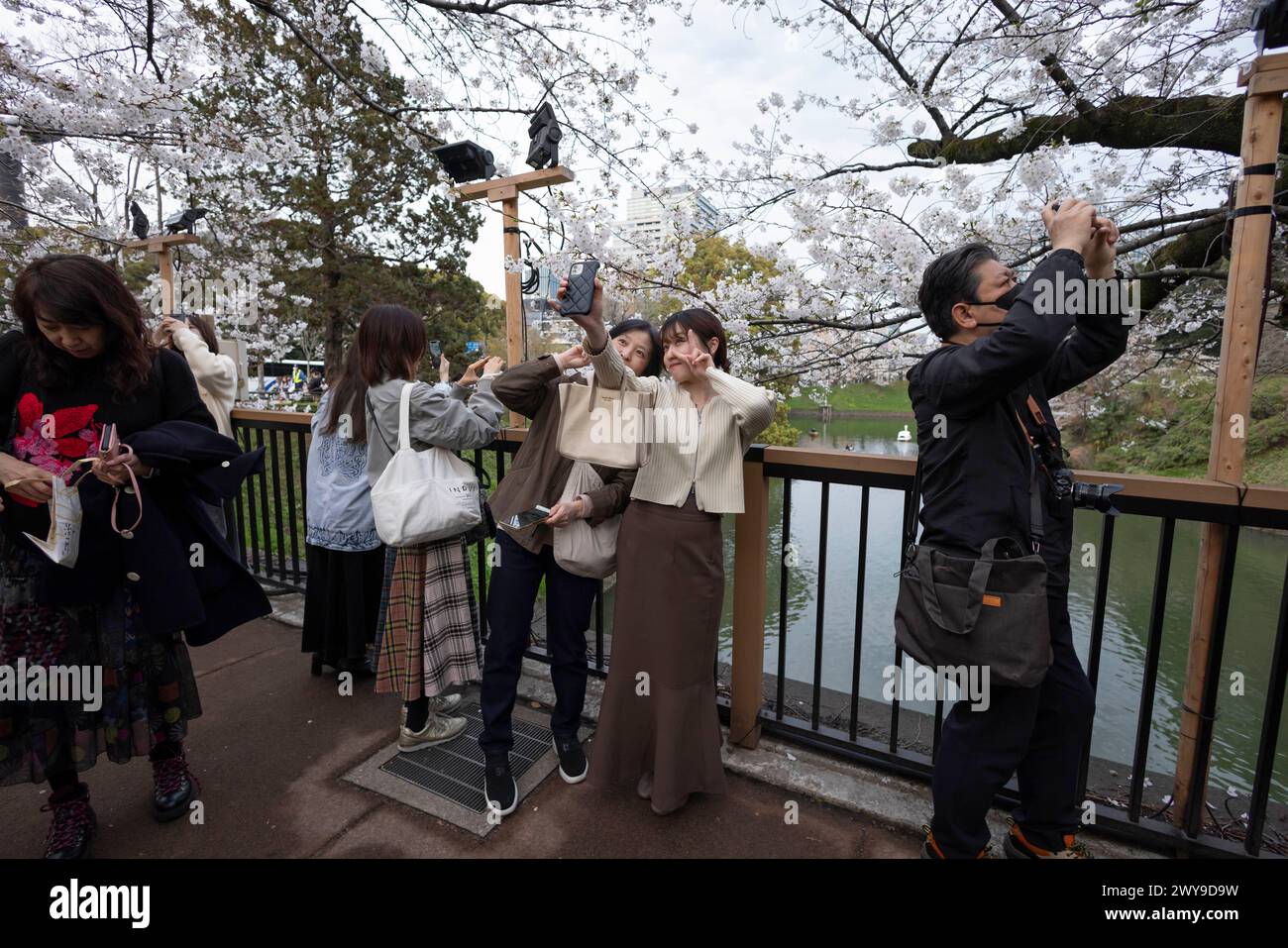 Tokyo japan april 2024 tourists hi-res stock photography and images - Alamy