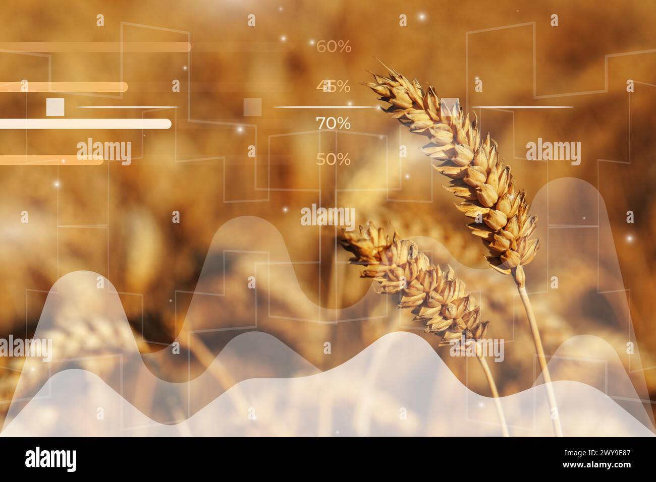 Grain prices. Wheat field and graphs, double exposure Stock Photo - Alamy
