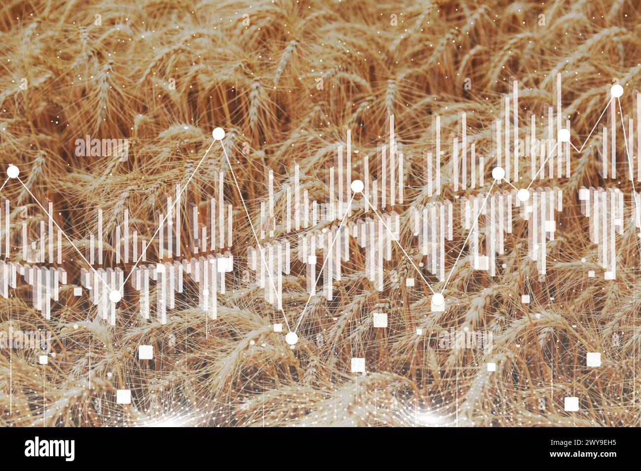 Grain prices. Wheat field and graph, double exposure Stock Photo - Alamy