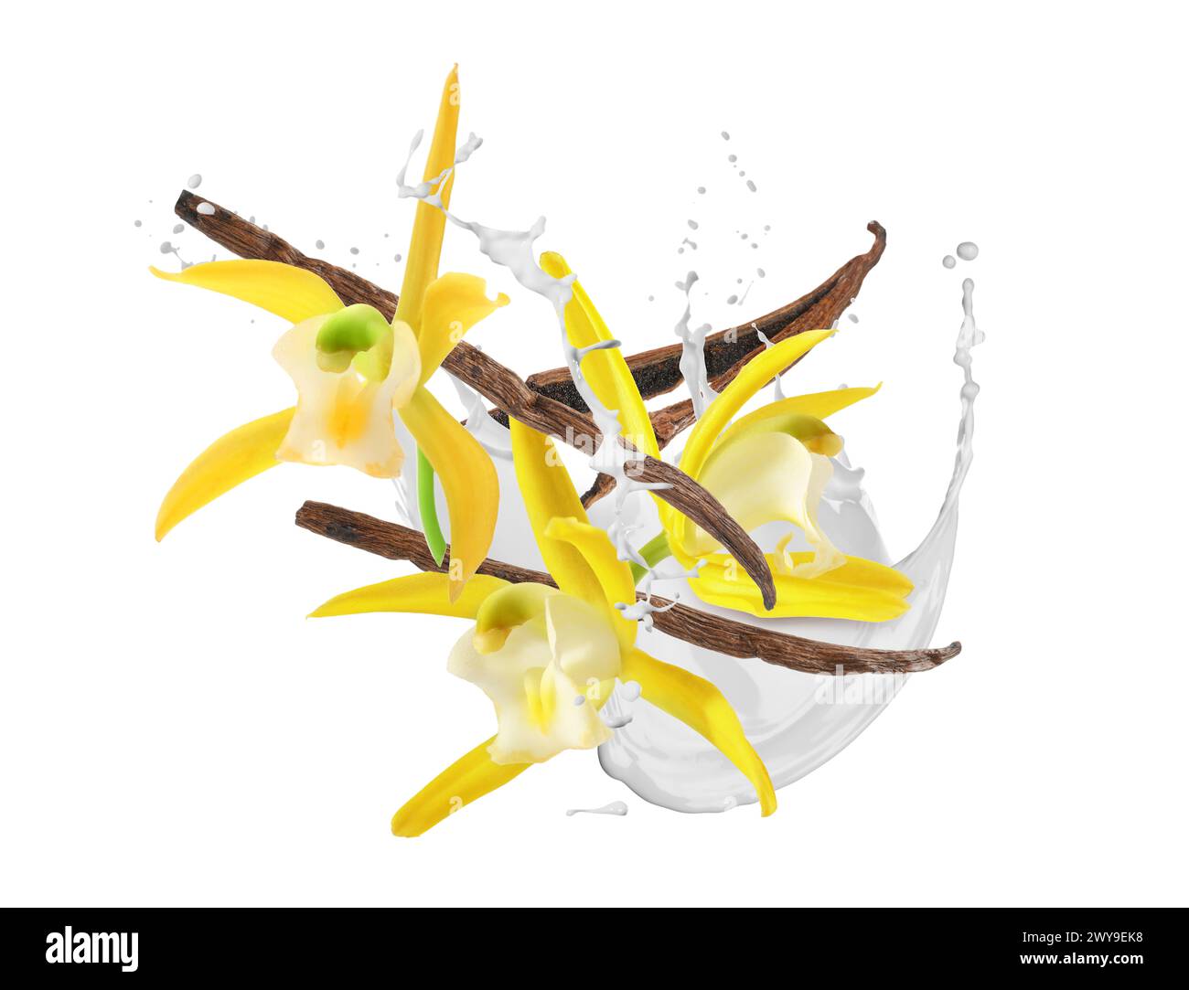 Vanilla pods and flowers with splash of milk in air on white background ...