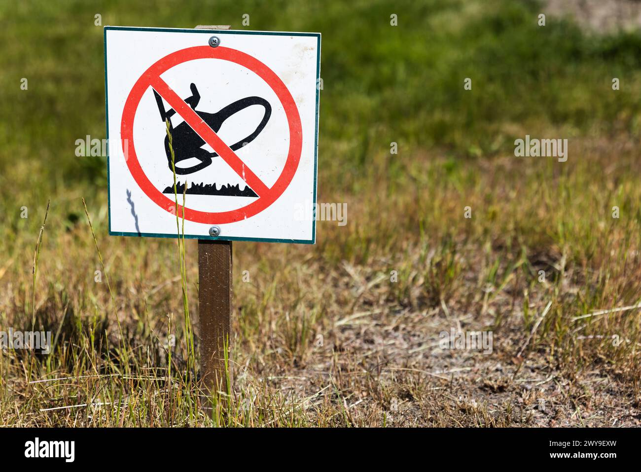 Do not walk on grass, park sign on small wooden pole mounted on the ...