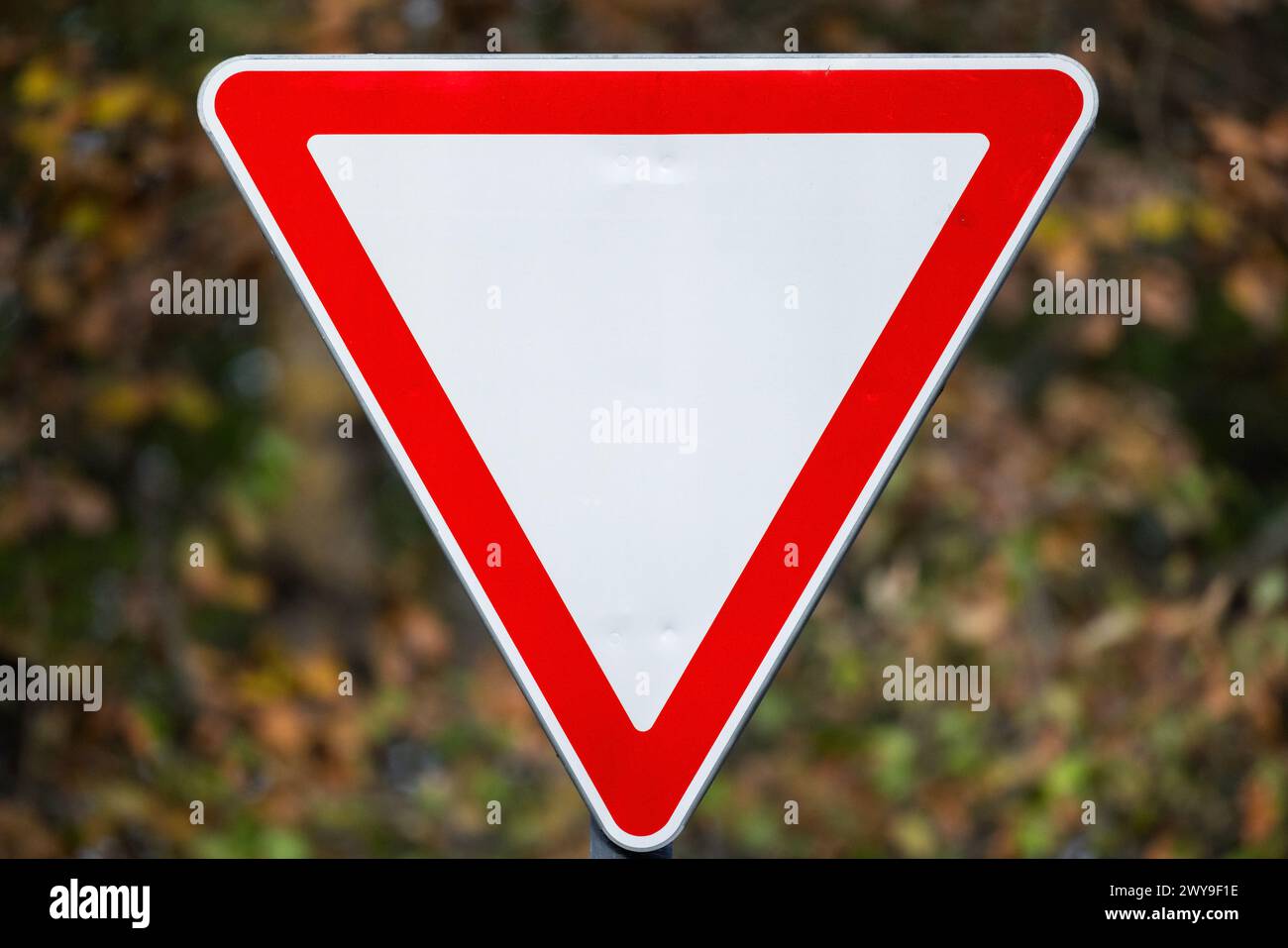 Give way road sign over blurred background, close-up photo Stock Photo ...