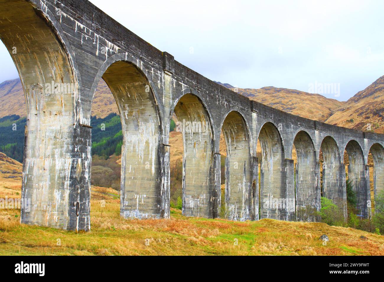A scenic view of the Jacobite train bridge at Glenfinnan Stock Photo ...