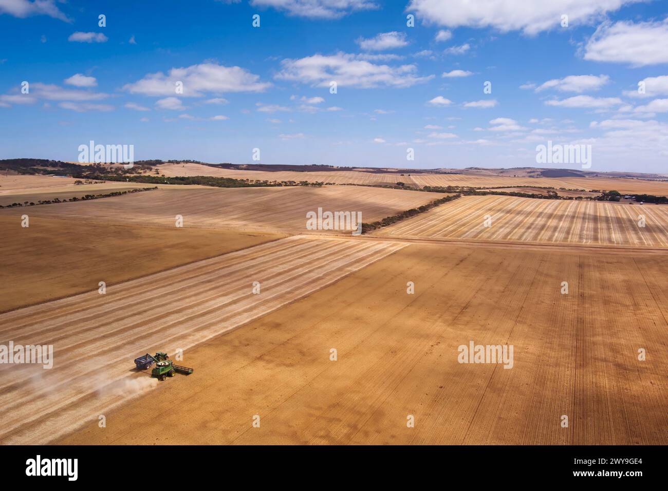 Aerial over combine harvester harvesting a wheat field near Tumby Bay ...