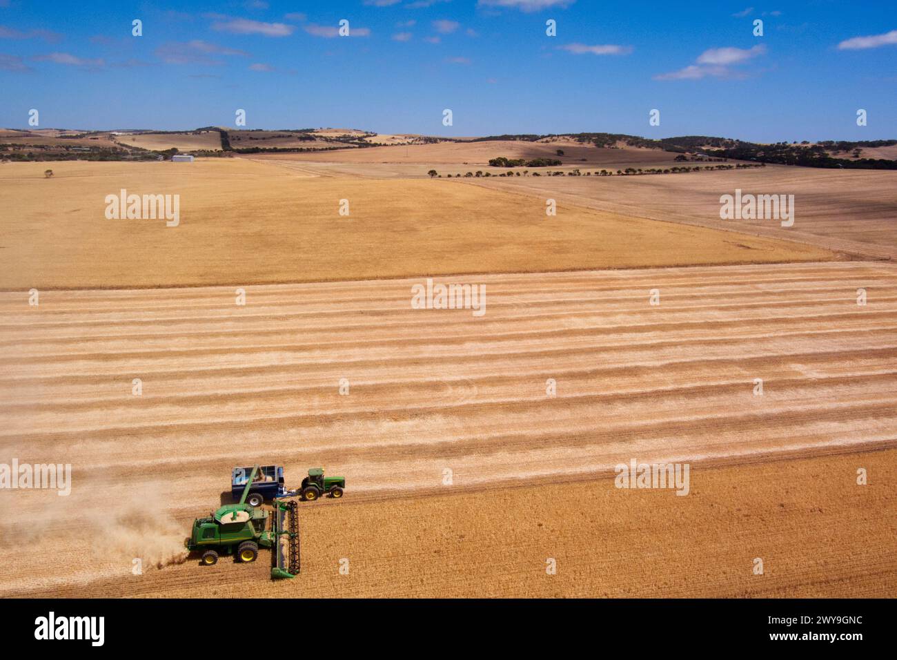 Aerial over combine harvester harvesting a wheat field near Tumby Bay ...