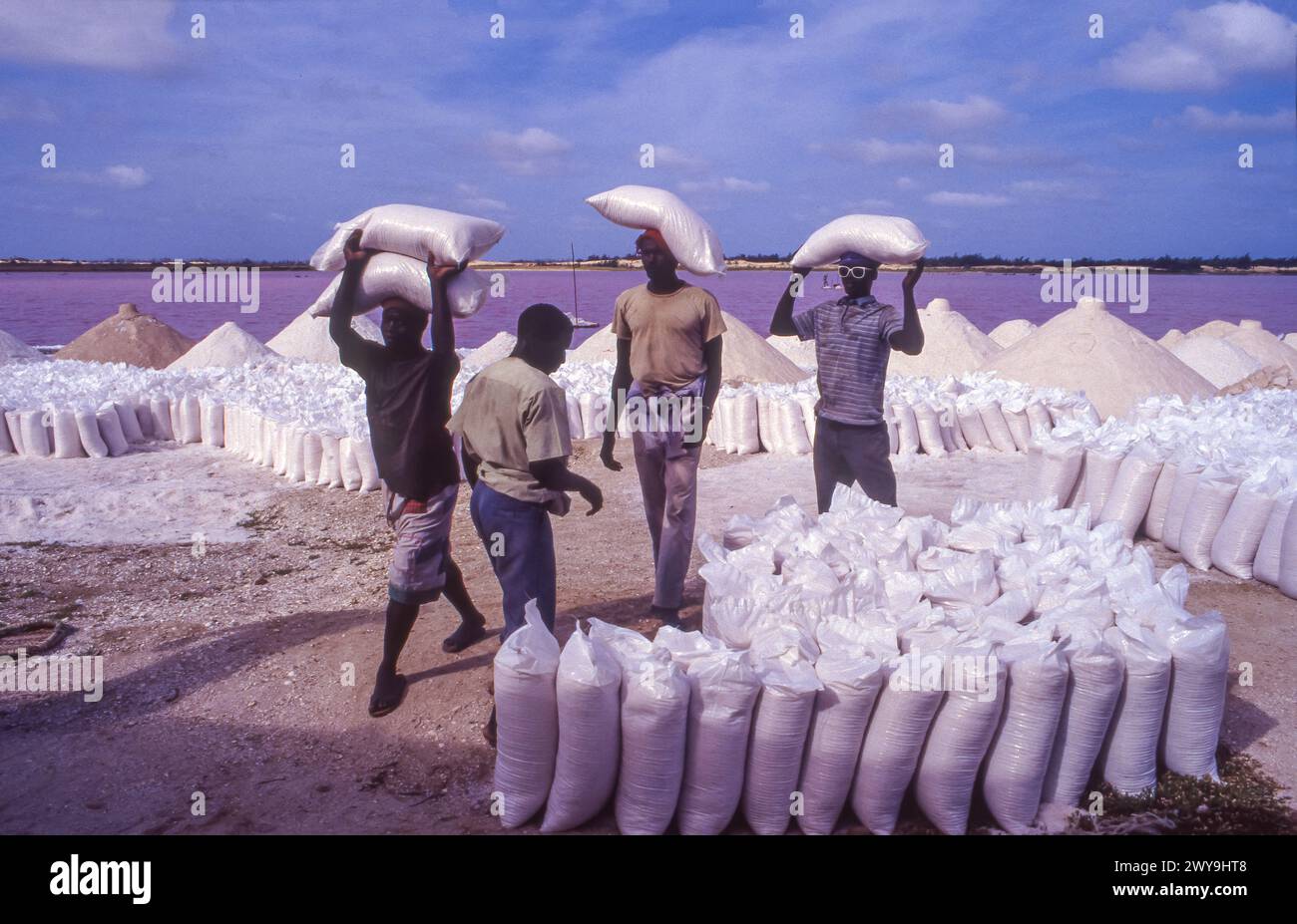 Senegal, 'harvest' of salt from Lake Retba, also known as Lac Rose ...