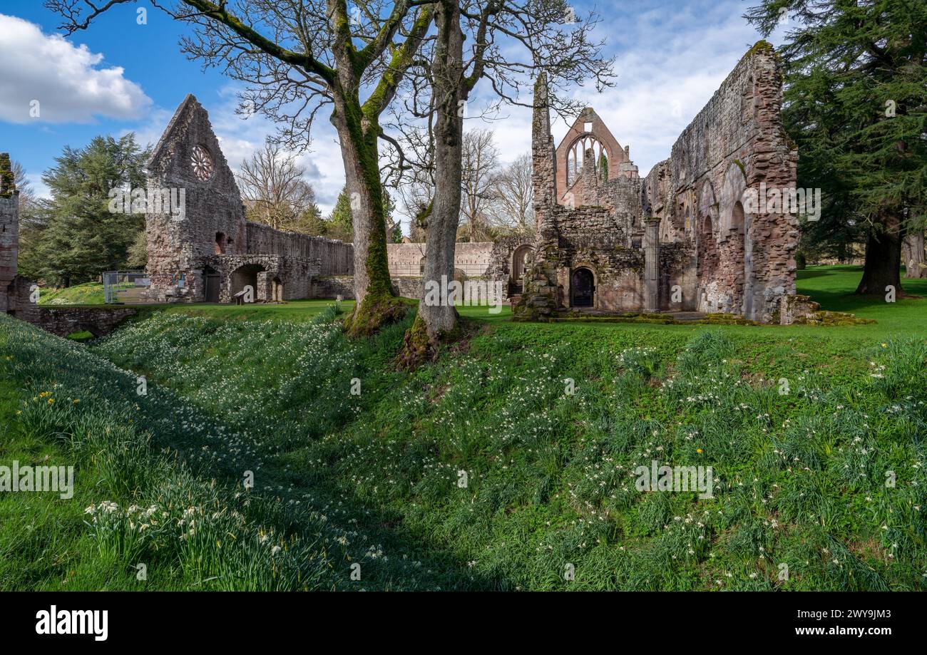 Dryburgh abbey borders hi-res stock photography and images - Alamy
