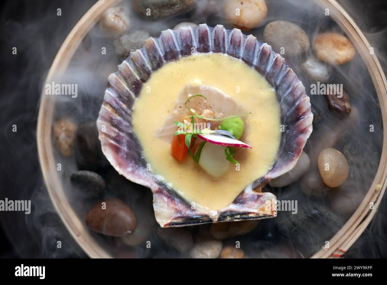 Overhead view of clam shell with upscale seafood bite Stock Photo - Alamy