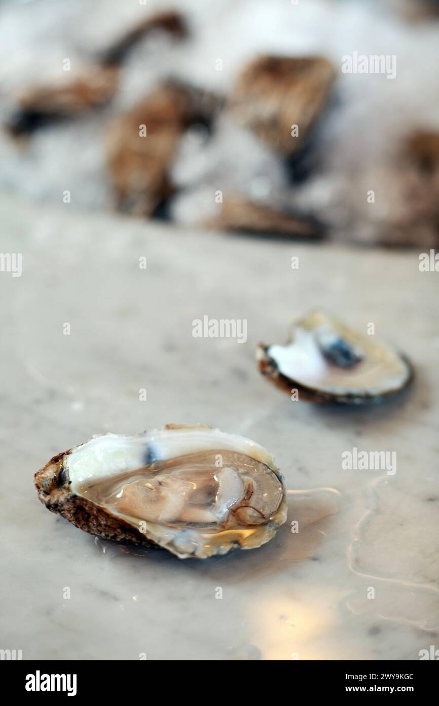 Oysters in half shells on marble counter Stock Photo - Alamy