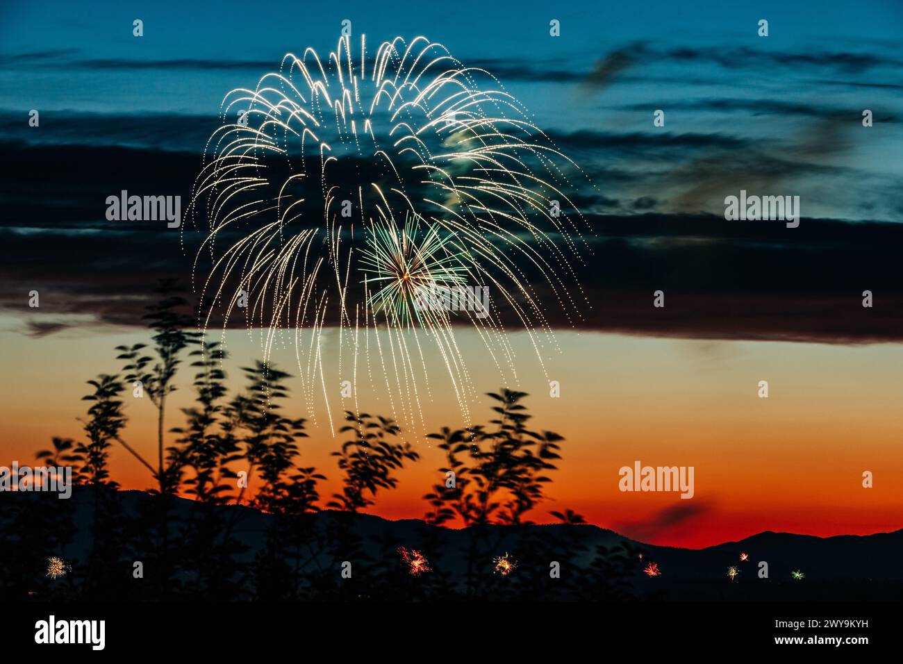 Night sky fireworks people silhouette hi-res stock photography and ...