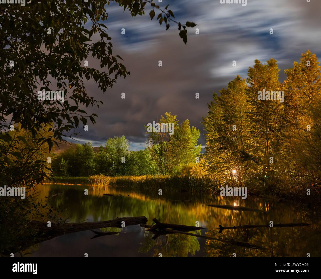 Fall foliage at duck pond at night in Missoula, Montana Stock Photo - Alamy