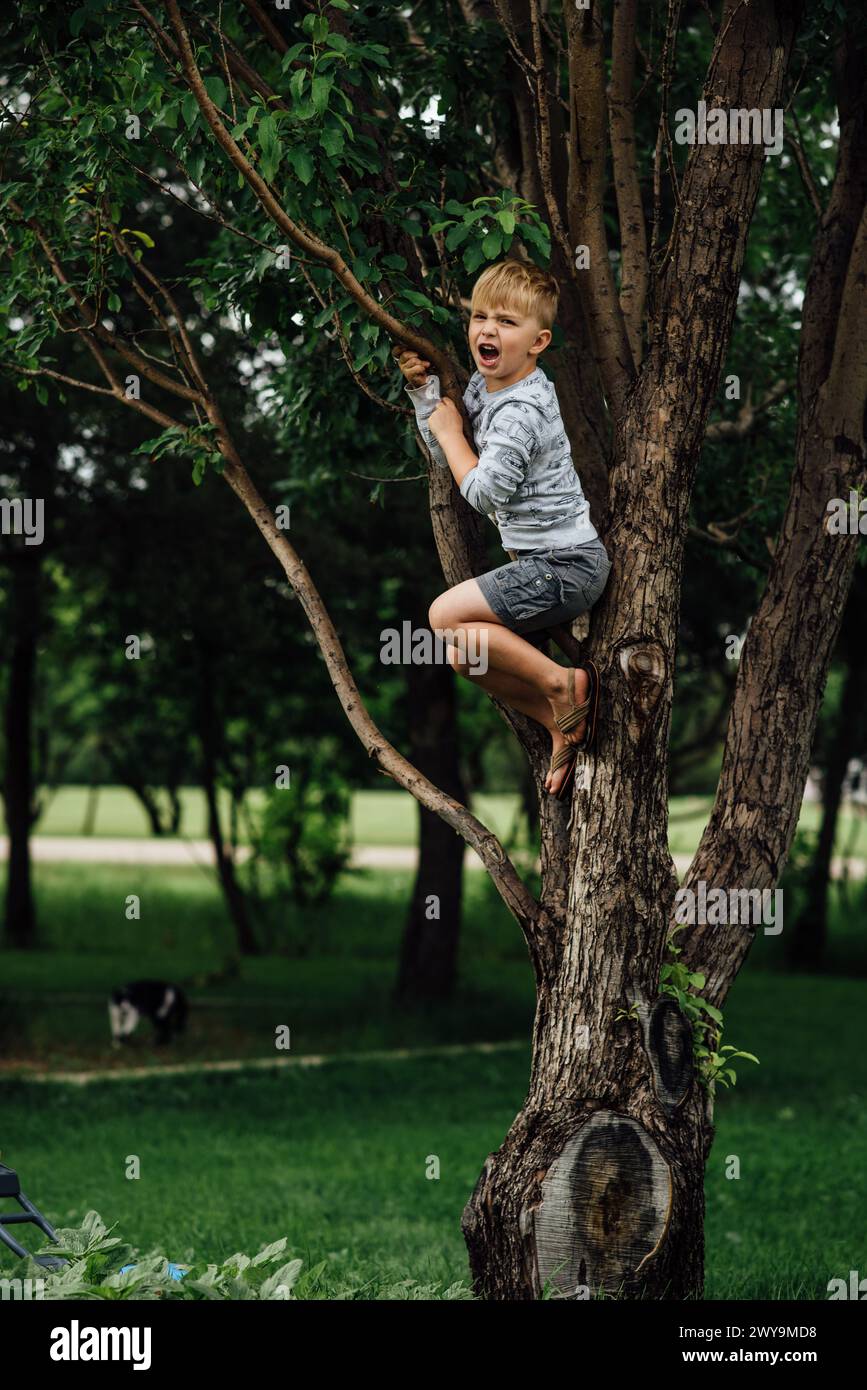 Little boy climbing tree in yard and yelling for help in summer Stock ...