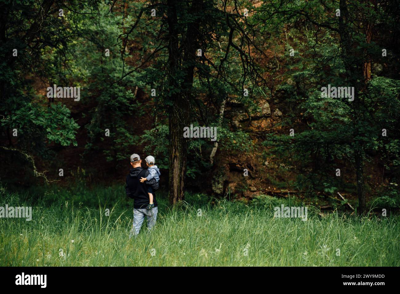 Rear view of dad carrying little boy into trees in nature Stock Photo ...