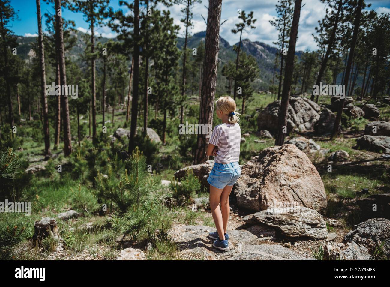 Rear view of teen girl hiking in forest with mountains in summer Stock ...