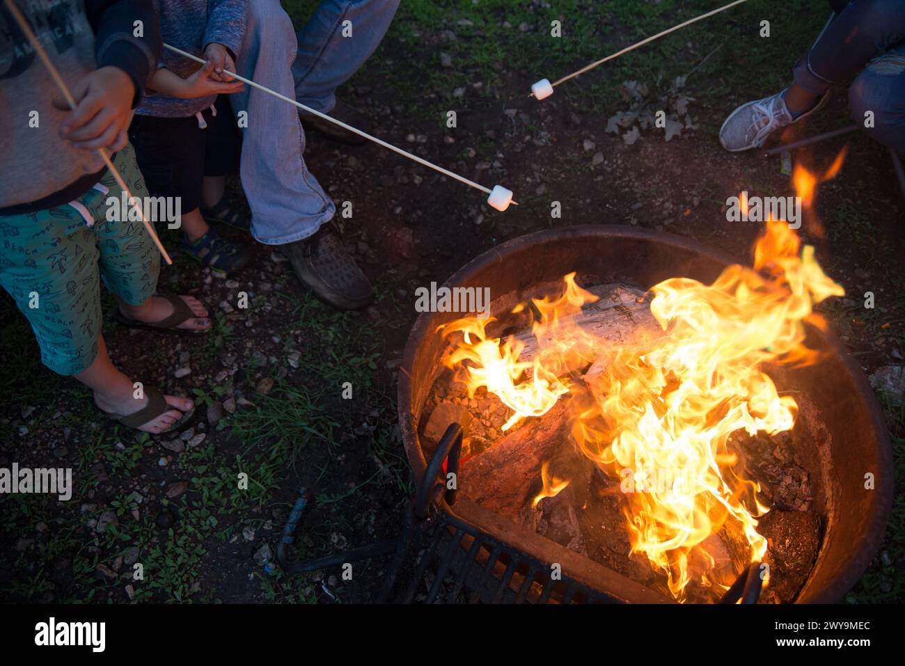 Overhead view of family roasting marshmallows over fire at night Stock ...
