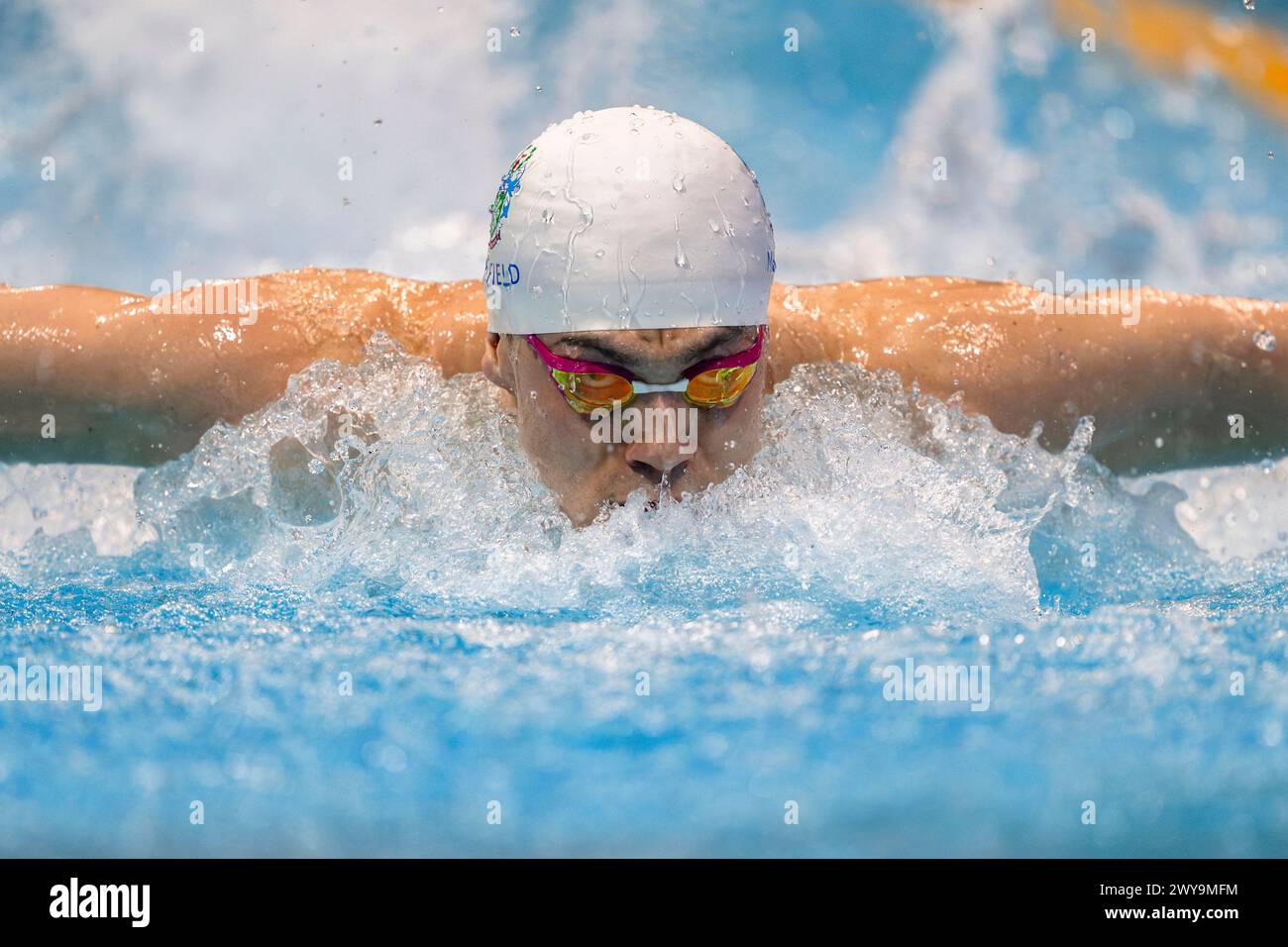 Butterfly wu hi-res stock photography and images - Alamy