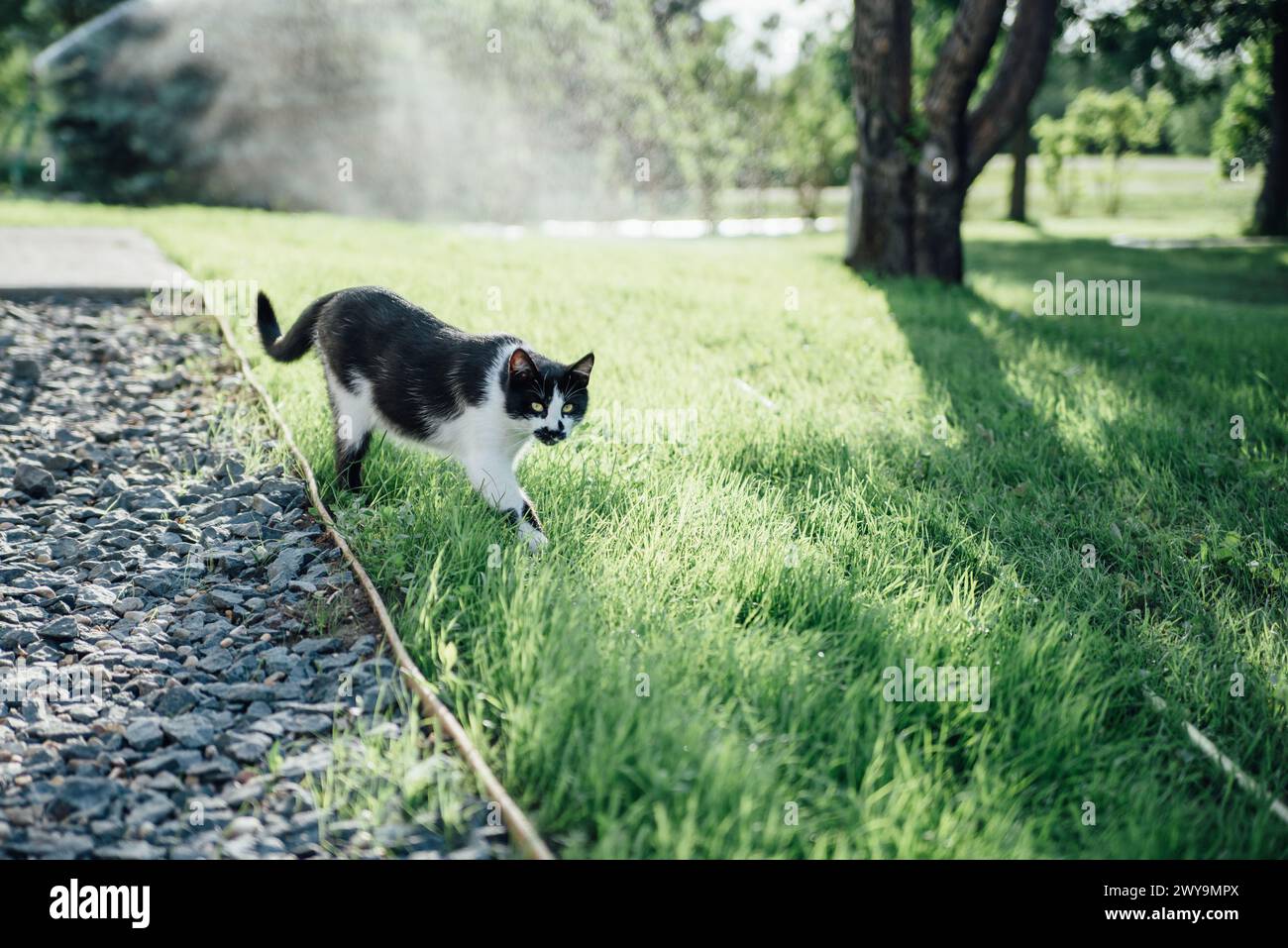 Greentime hi-res stock photography and images - Alamy