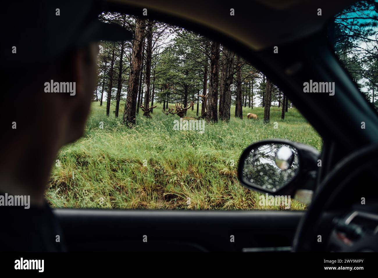 Family looking out car window hi-res stock photography and images - Alamy
