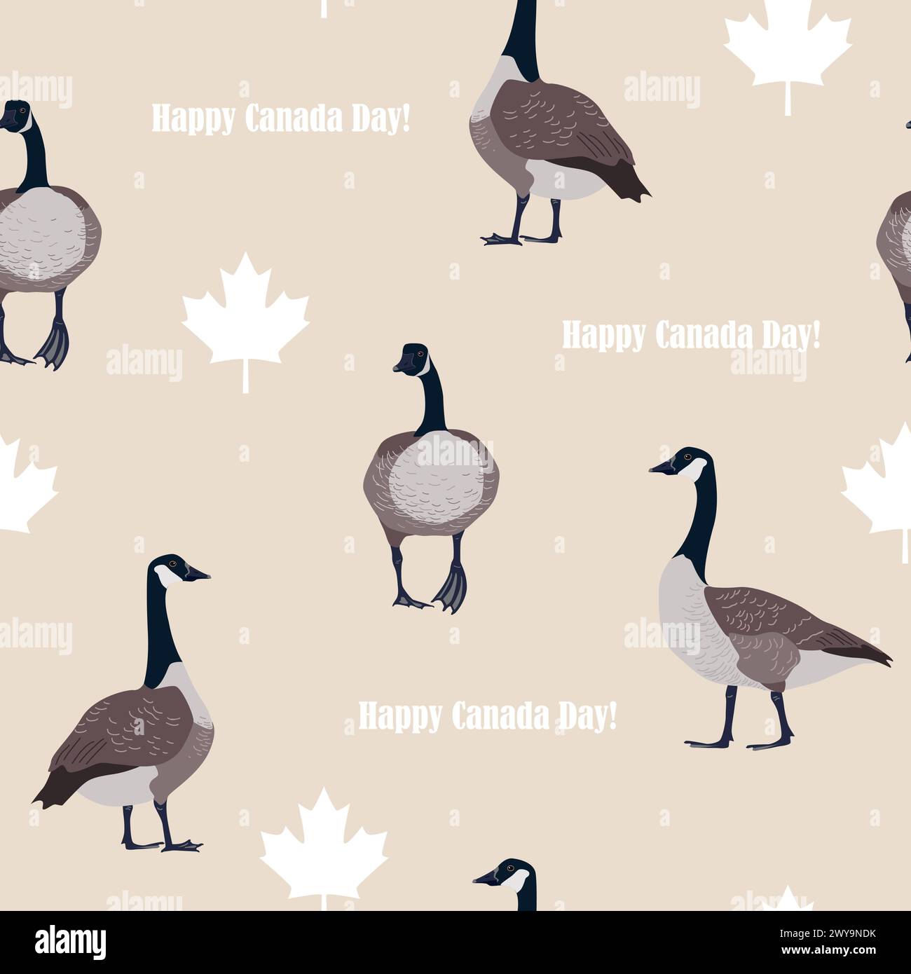 White maple leaves and Canadian geese on beige background. Canada Day ...