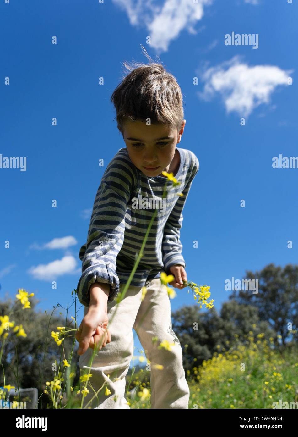 Child picking hi-res stock photography and images - Alamy