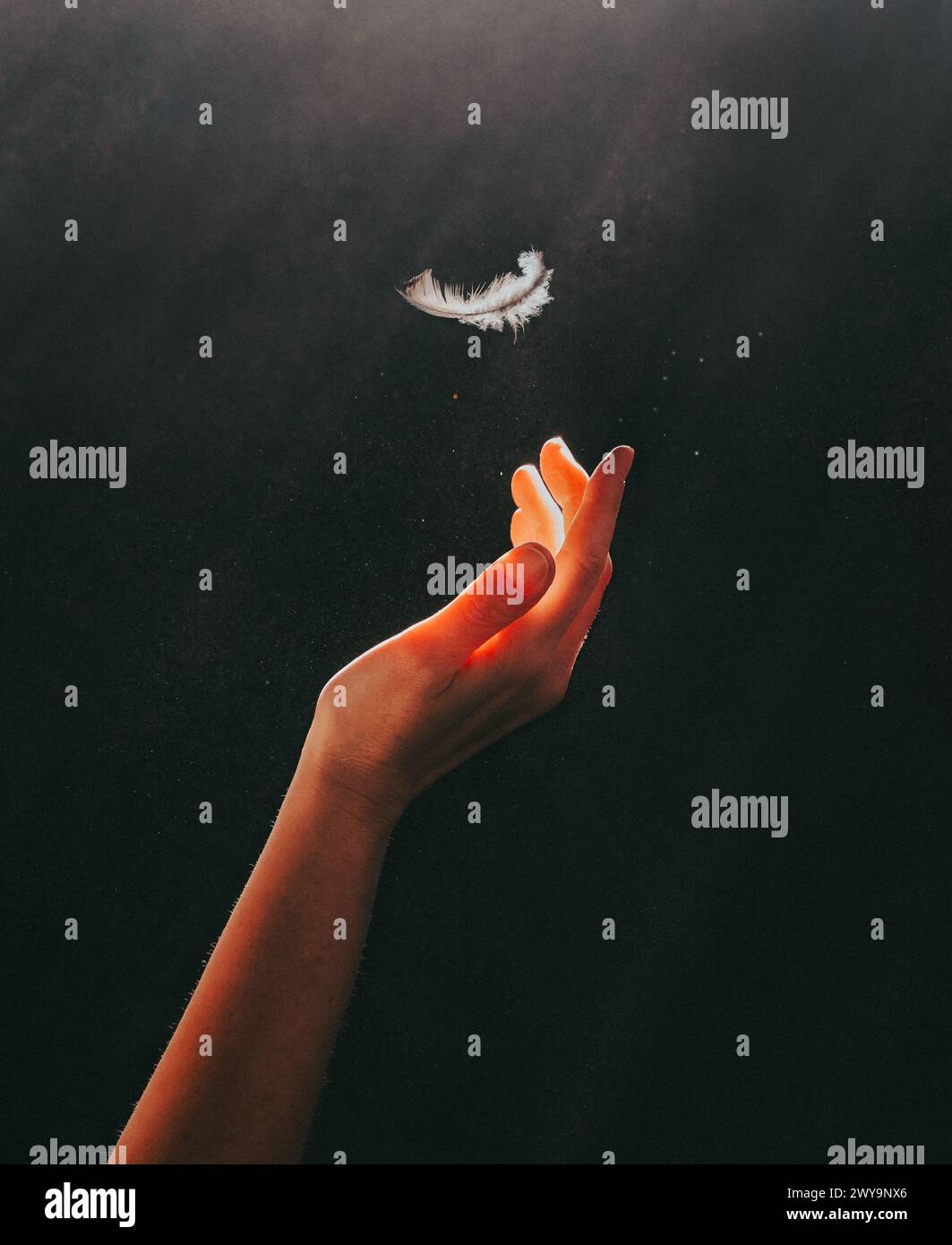 Cinematic feather hi-res stock photography and images - Alamy