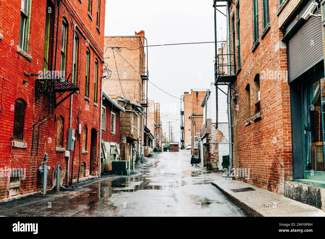 Rainy pavement hi-res stock photography and images - Alamy