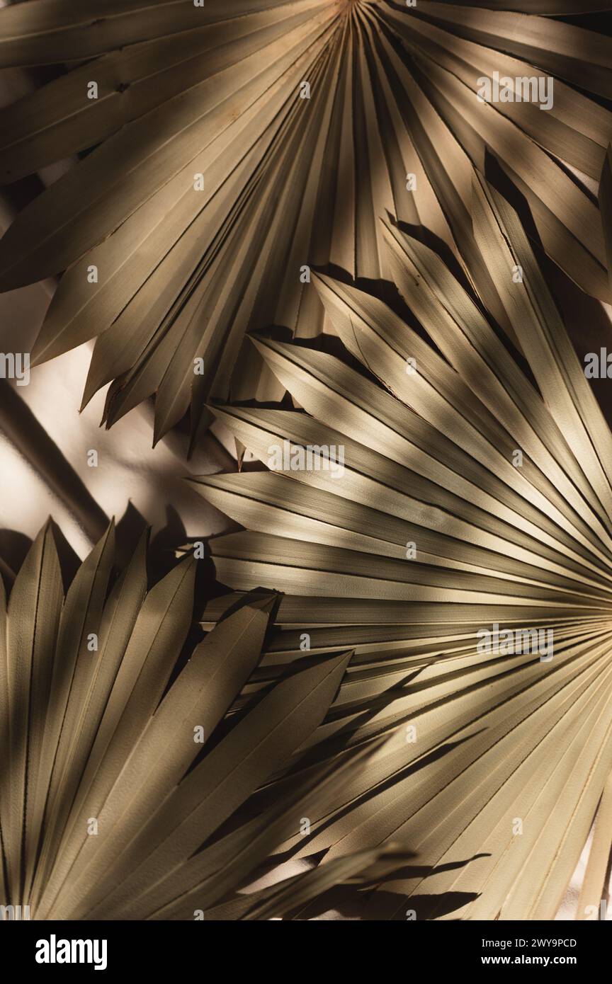 Streaks light on fabric hi-res stock photography and images - Alamy