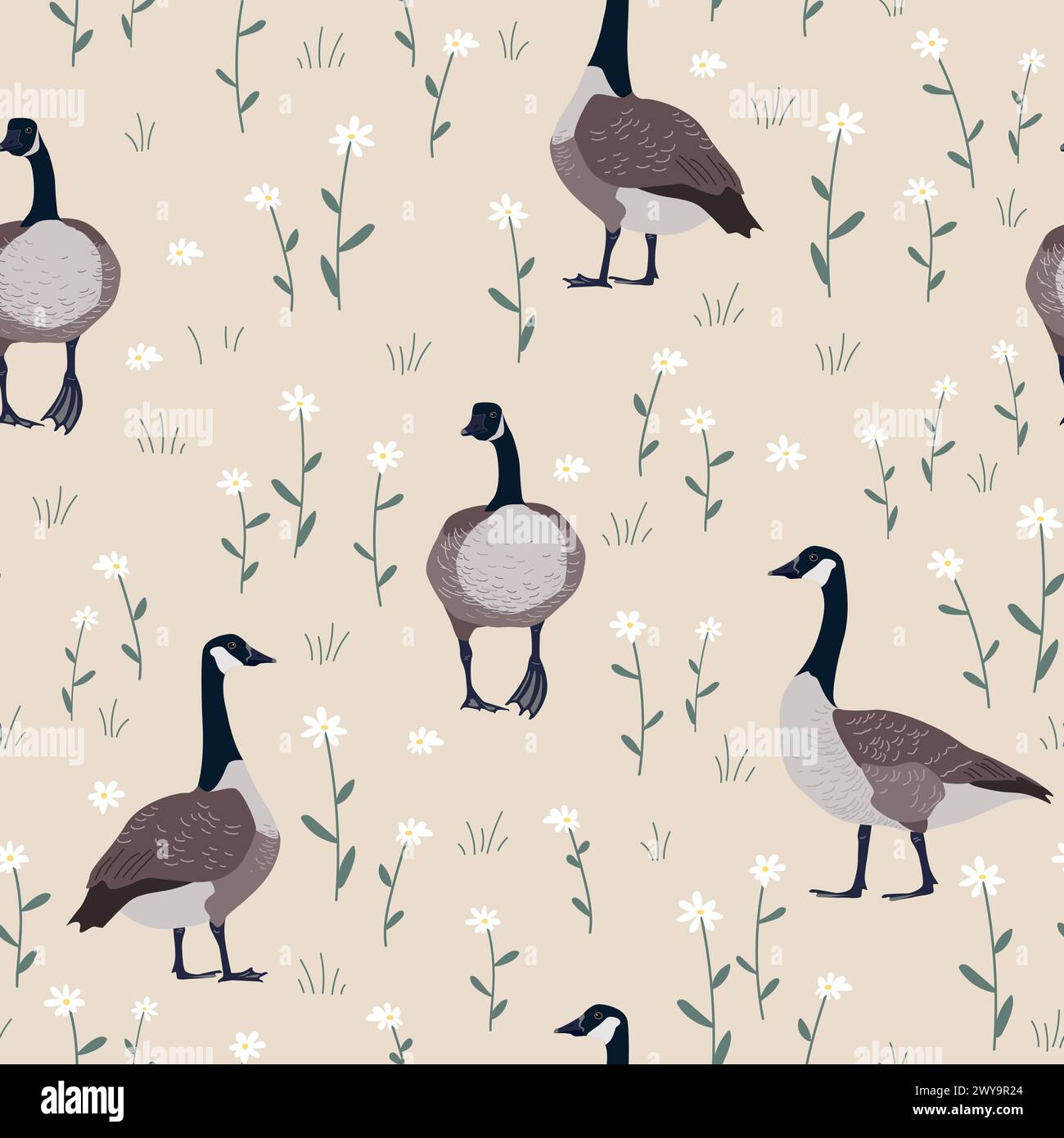 Seamless pattern with daisy flower and Canada geese birds. Small white ...