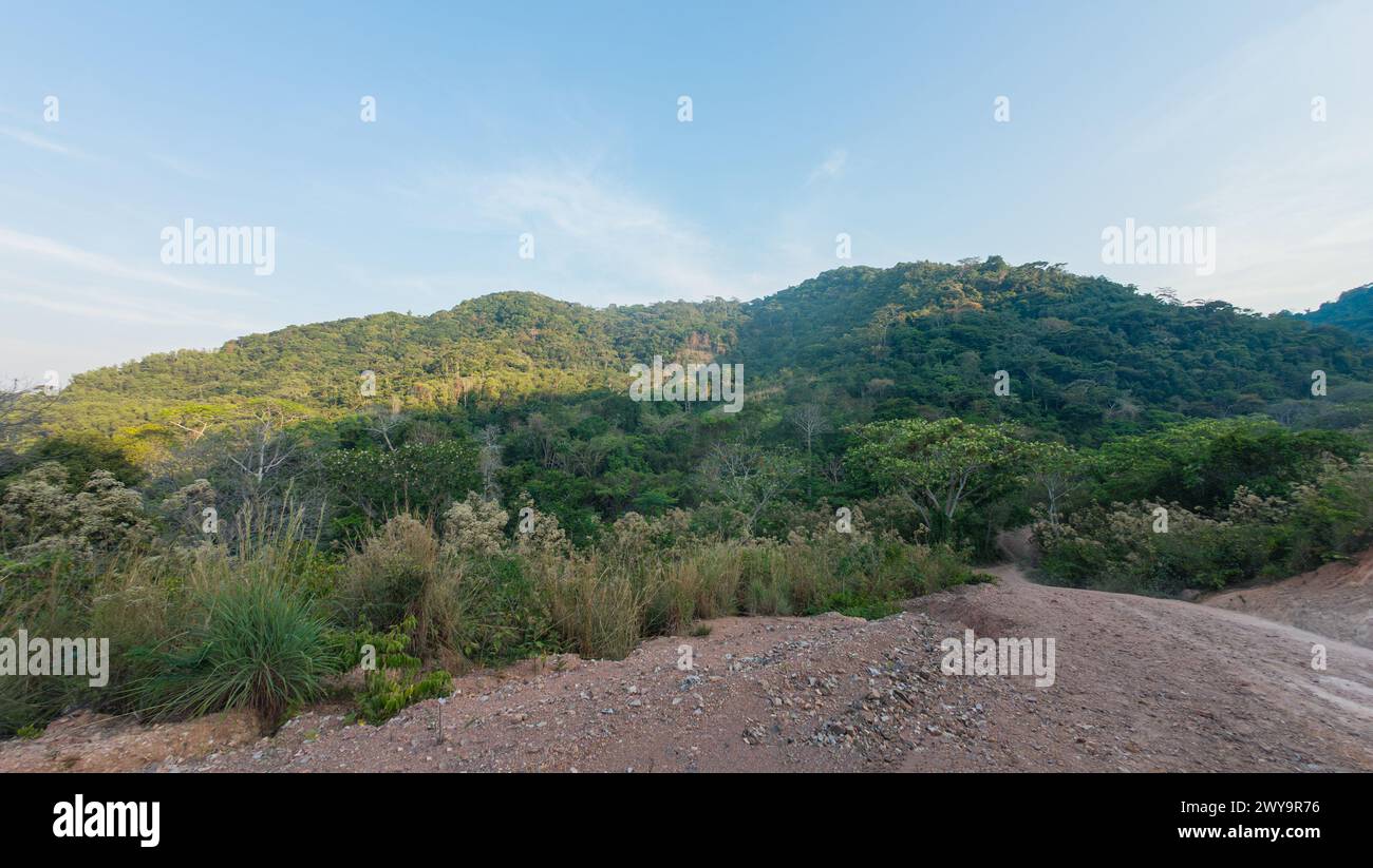 Wide landscape view capturing the diverse vegetation and undulating ...