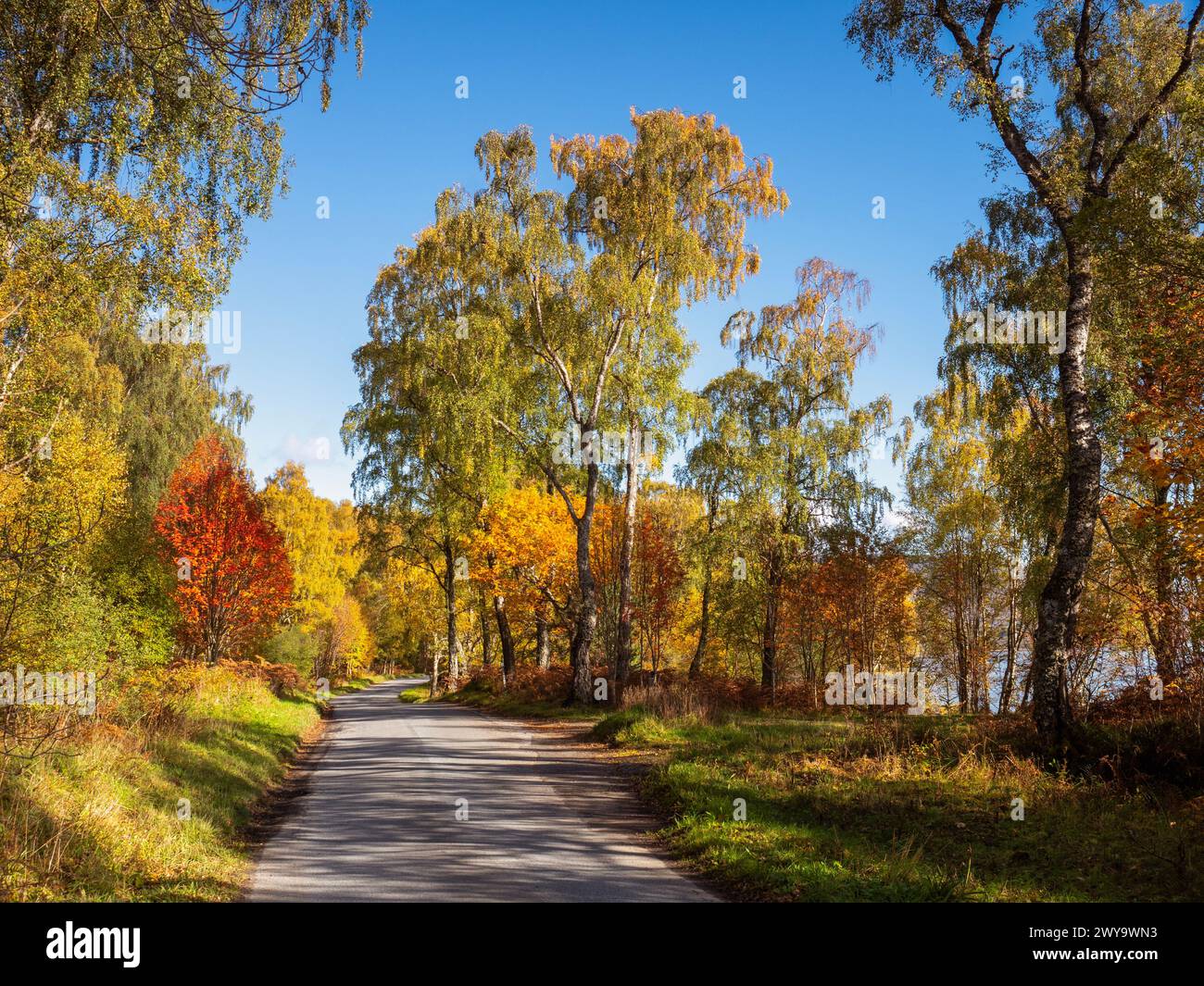 The scenic drive on the B846, which is the only road to Rannoch Station, Highland Perthshire ...
