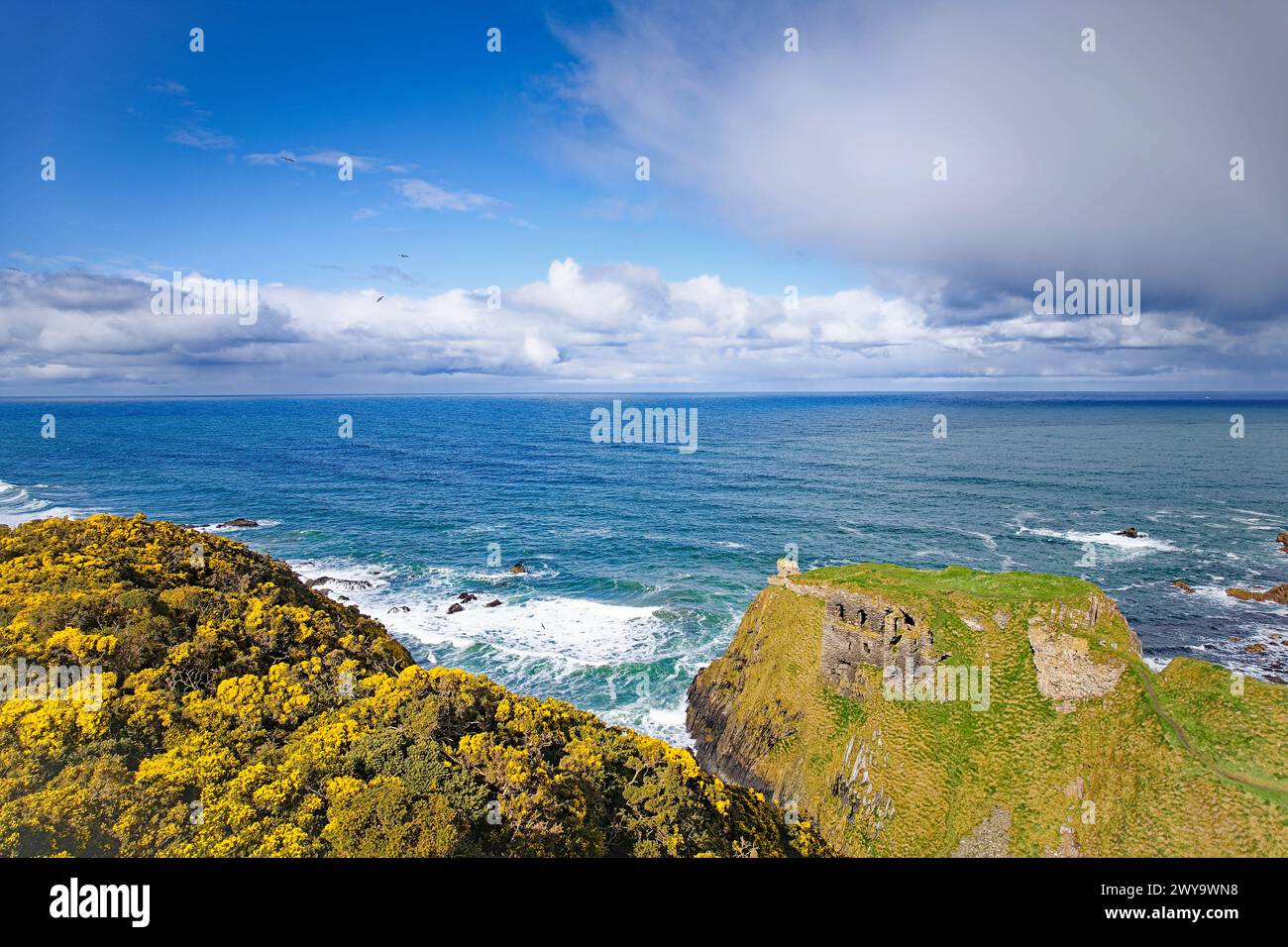 Findlater Castle Cullen Aberdeenshire coastline and the ruins on a ...