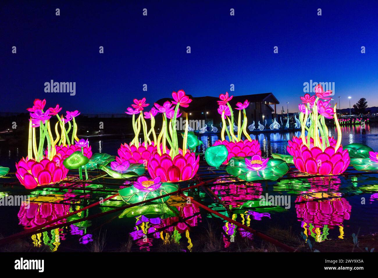 Chinese lantern festival lit hi-res stock photography and images - Alamy