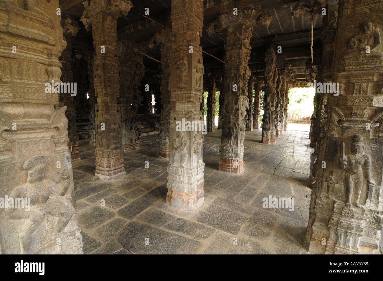 Devaraja Swami Temple, Hundred Pillared Mandapam, Kanchipuram, India ...